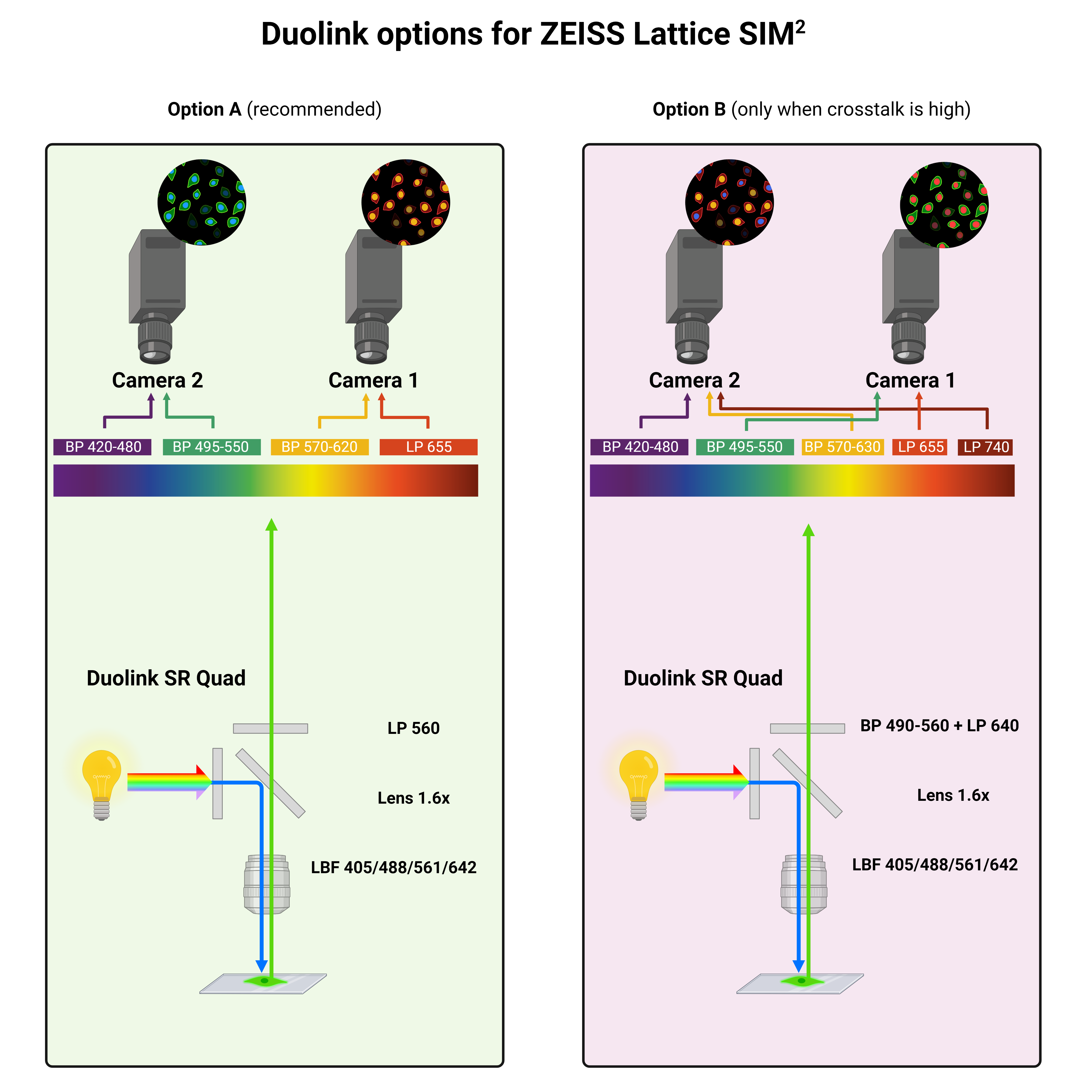Widefield - ZEISS Elyra 7 Lattice SIM² | Center for Microscopy and Image Analysis | UZH